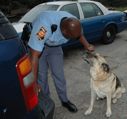 Criminal Interdiction Unit | Georgia Department of Public Safety